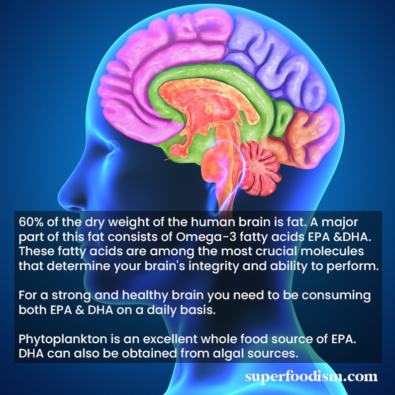 Marine Phytoplankton Capsules - 5 X 180 X 500mg - Etsy