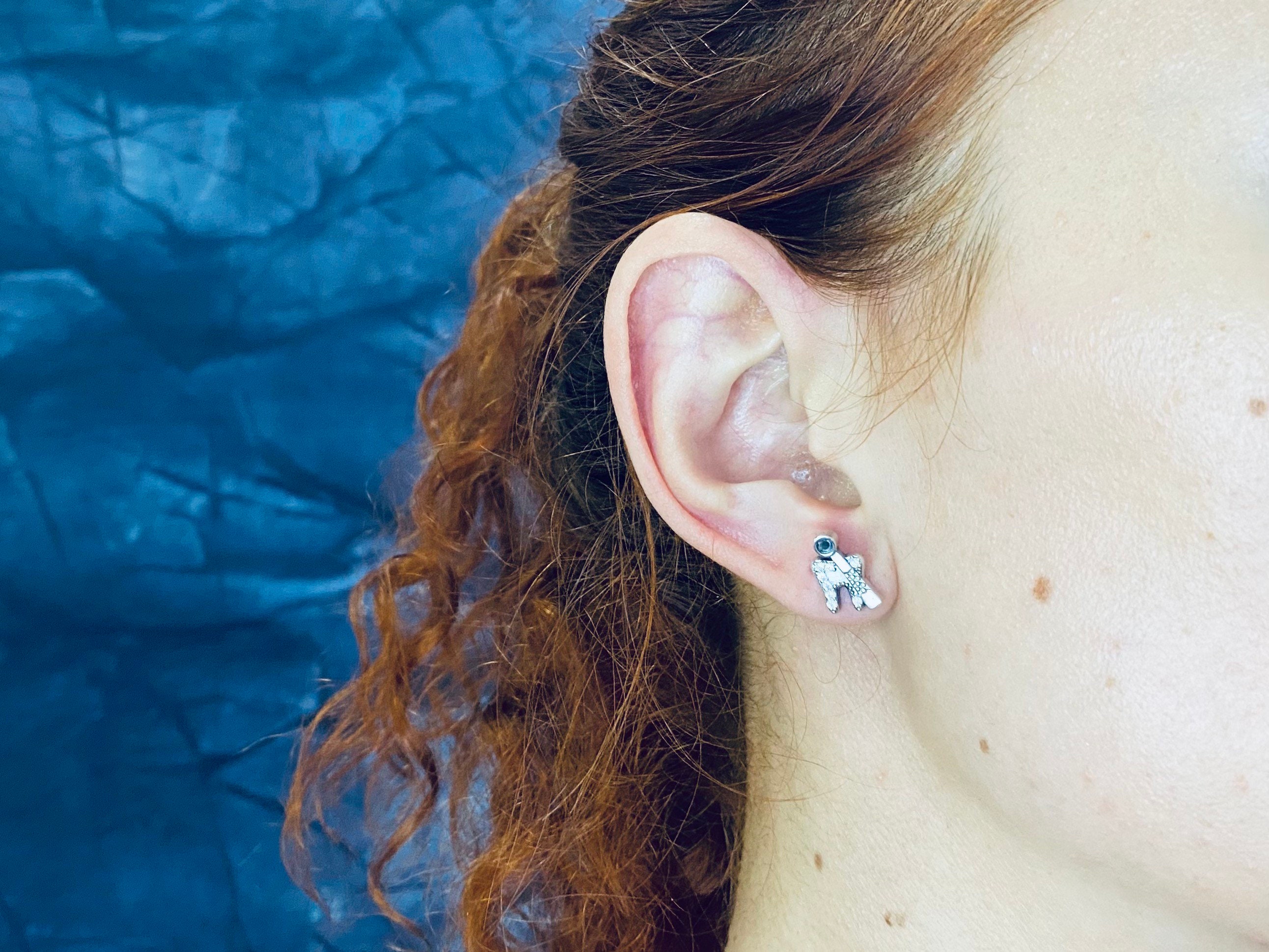 Tooth studs Gift for dentist Jewelry for doctor Silver Tooth | Etsy