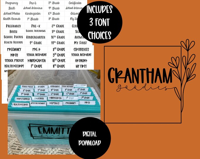 Printable Milestone Box Labels, PDF, School File Box Labels, DIY Memory ...