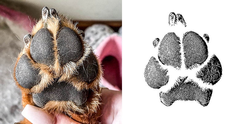 Digital Paw Print Tattoo Digital Print Only Custom Paw - Etsy
