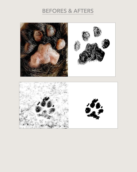 Actual Cat Paw Print