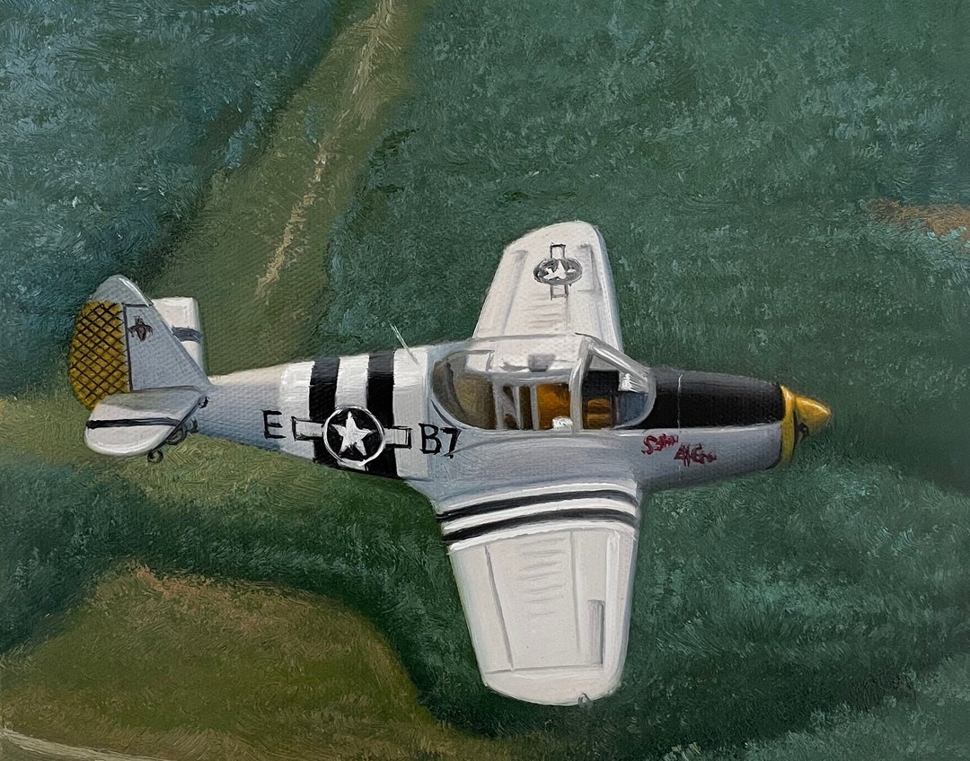 Custom Airplane Portrait on Canvas, Hand-painted Aircraft Art ...