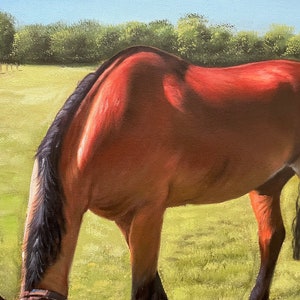 Custom Horse Portrait, Hand Painted Horse Oil Painting on Canvas ...