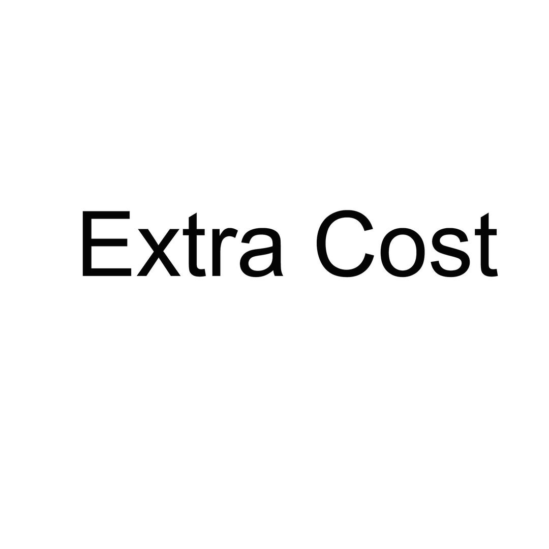 Extra Cost, Extra Fee, Expedited Shipping Cost, Shipping Upgrade Cost ...