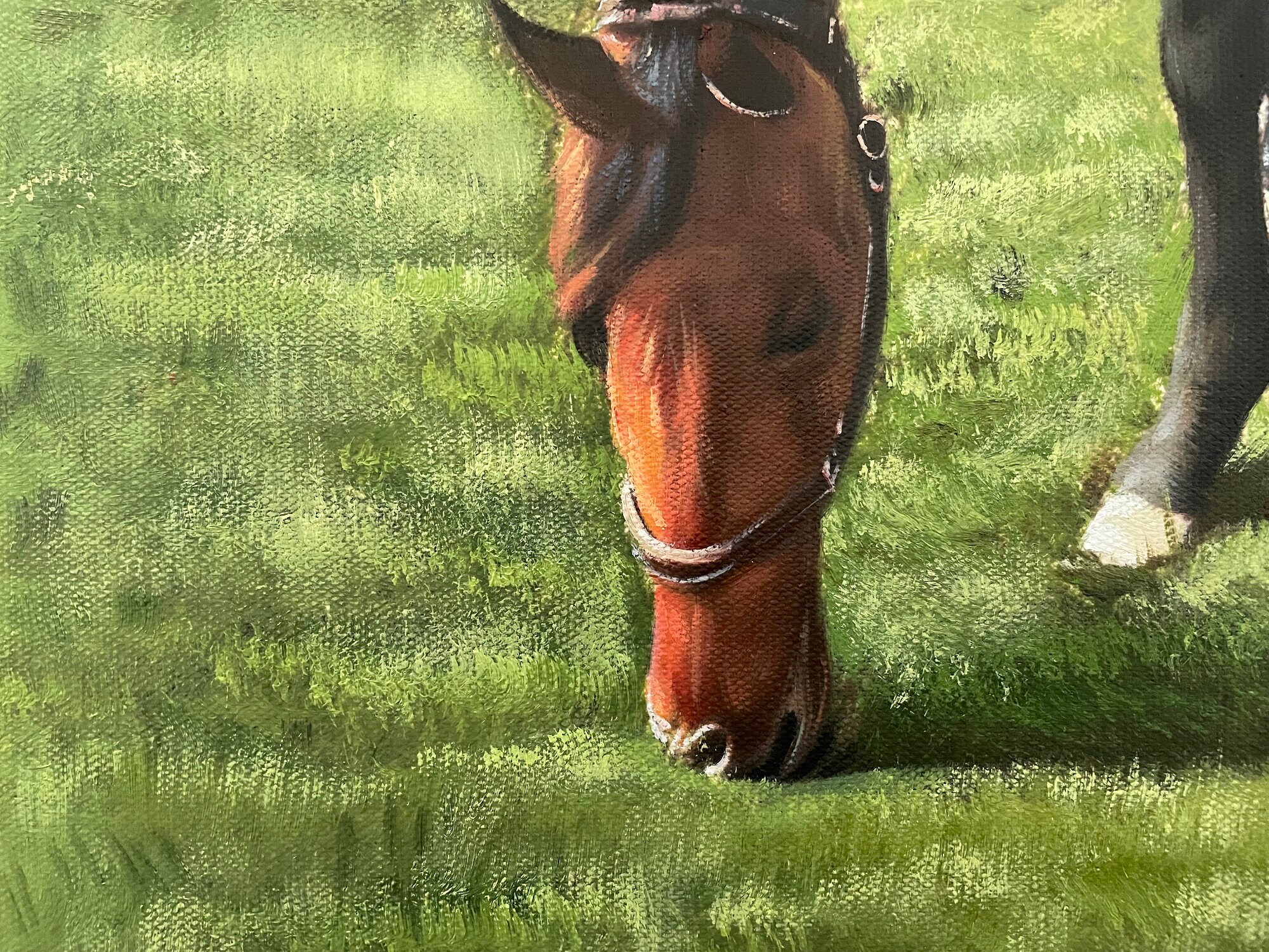 Custom Horse Portrait, Hand Painted Horse Oil Painting on Canvas ...