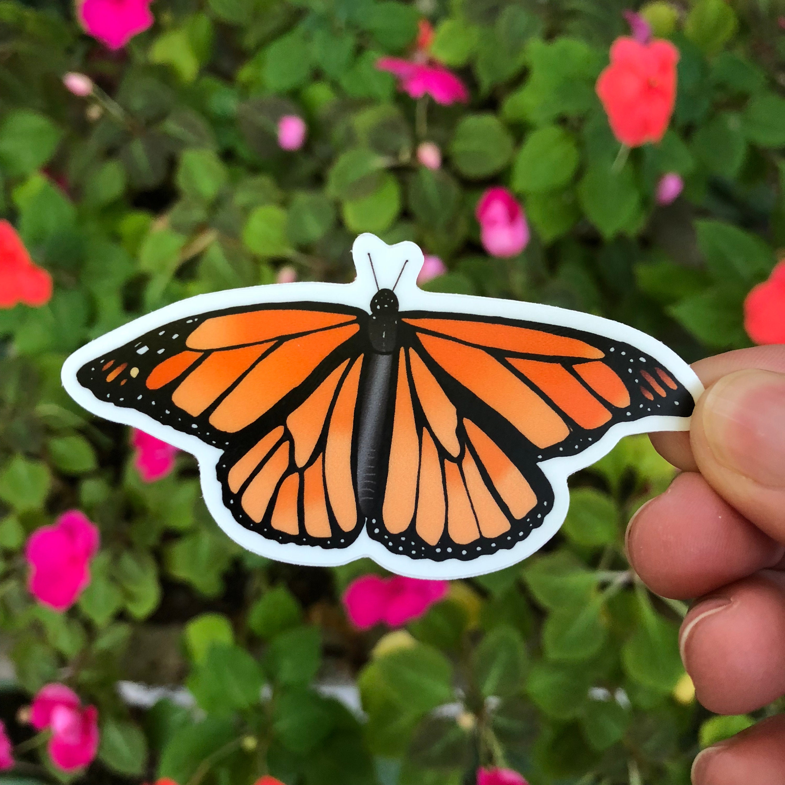 Monarch Butterfly Vinyl Sticker | Etsy