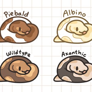 Ball Python - Tiny Reptile Enamel Pins - Etsy