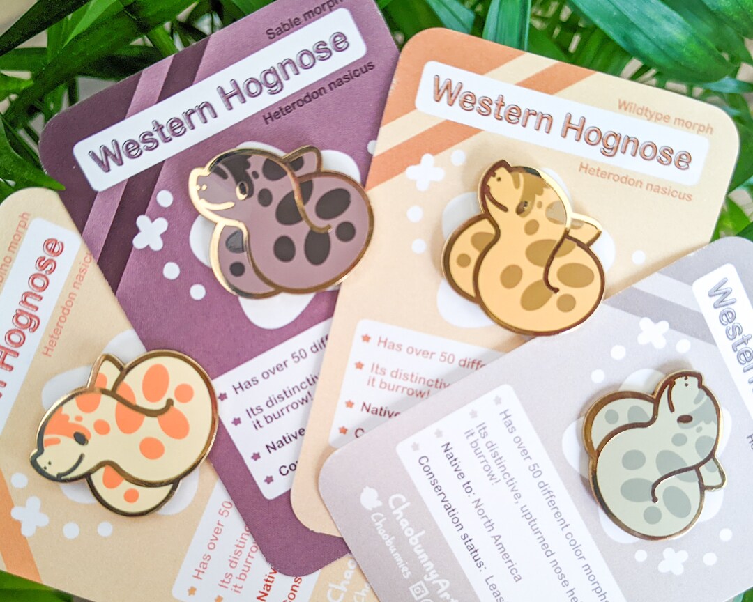 Hognose Snake - Tiny Reptile Enamel Pins - Etsy