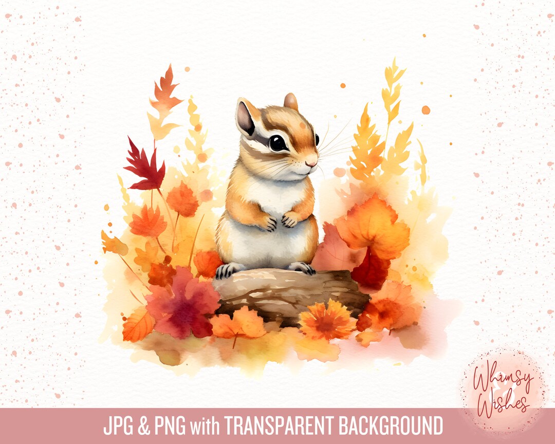 Fall Woodland Chipmunk Clip Art Woodland Animals Watercolor - Etsy