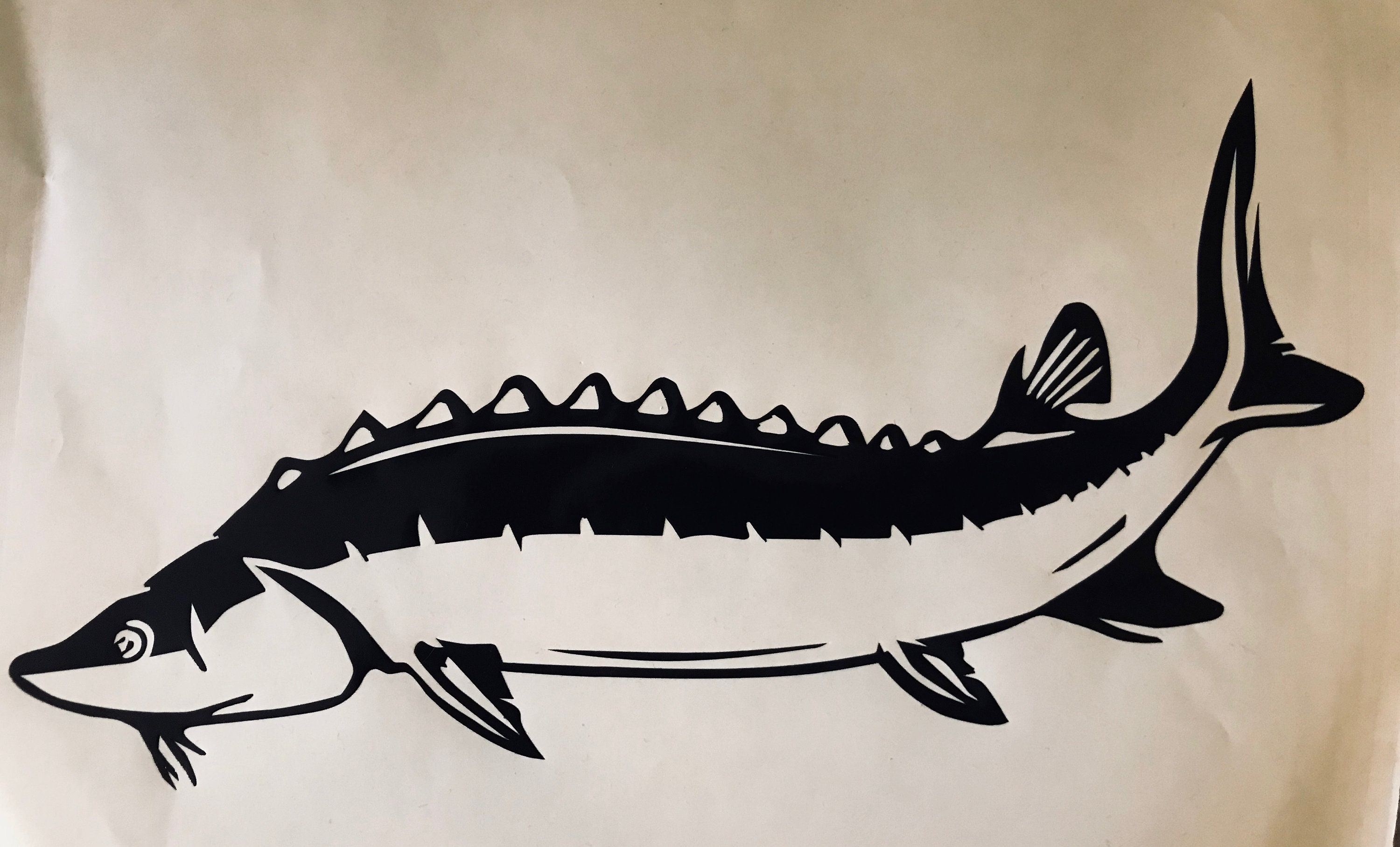 Sturgeon 11" Decal - Etsy