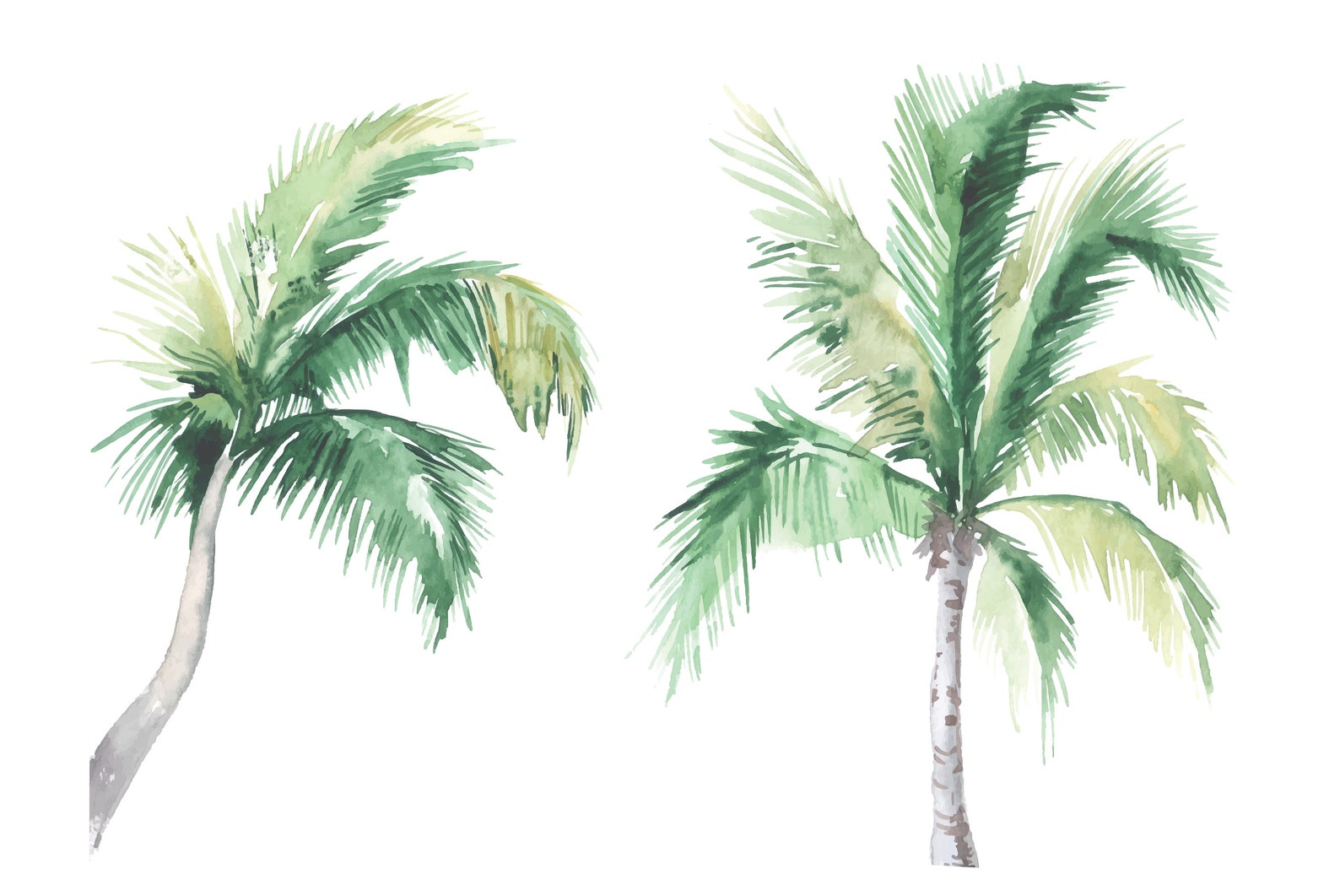 Watercolor Palm Tree Wall Decals / Palm Tree Wall Decal Set / - Etsy