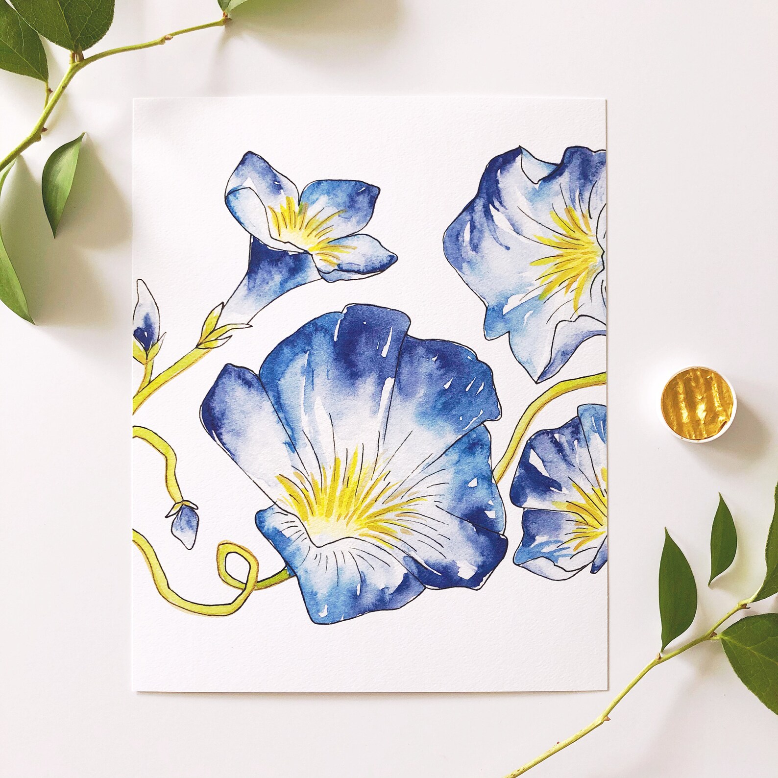 September Birth Flower Print Morning Glory Art Blue Flower - Etsy