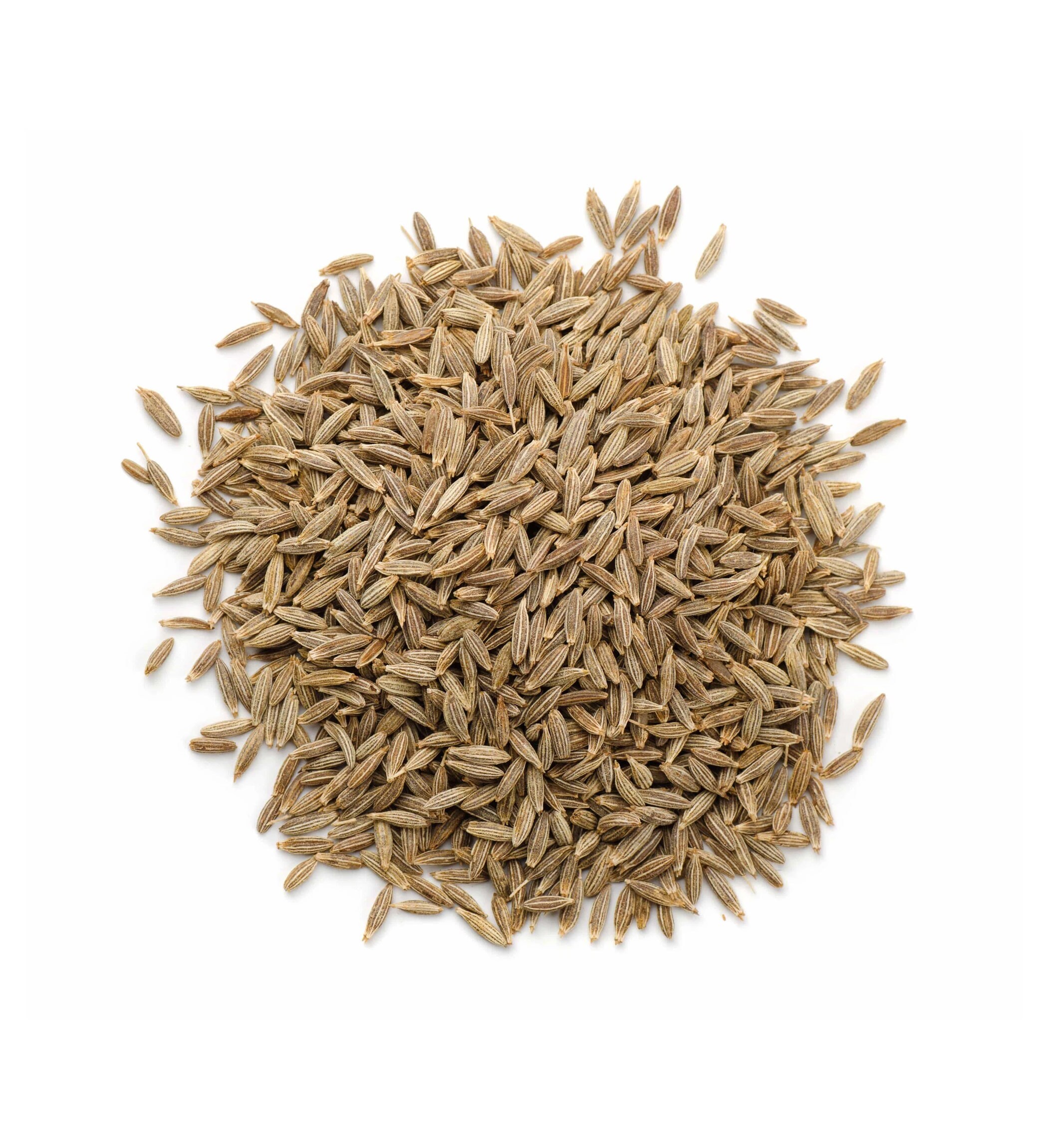 Cumin Seeds Jira Or Zeera Etsy