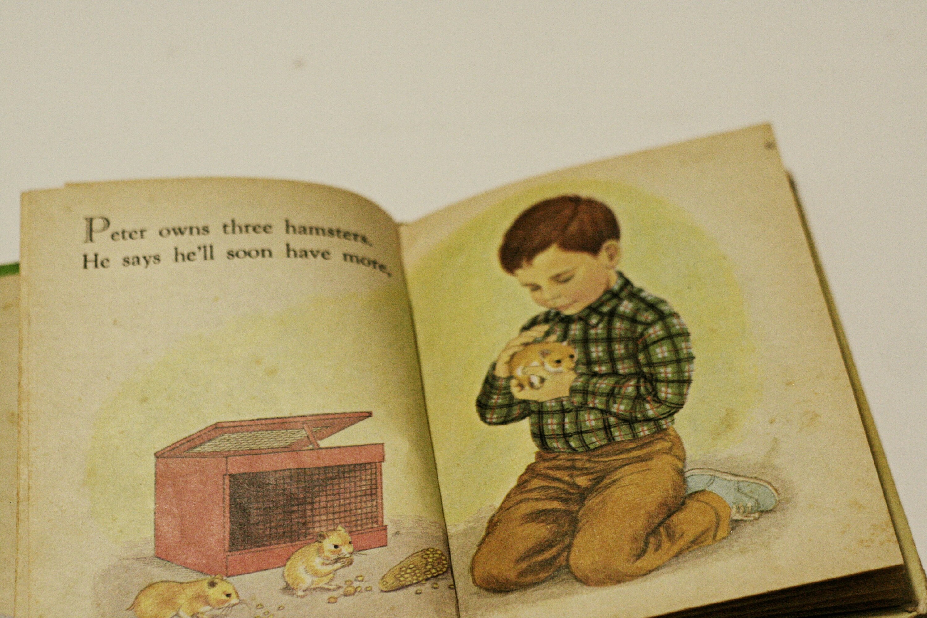 1969 Pet Parade A Counting Book Vintage Retro Childrens Kids Toddlers ...