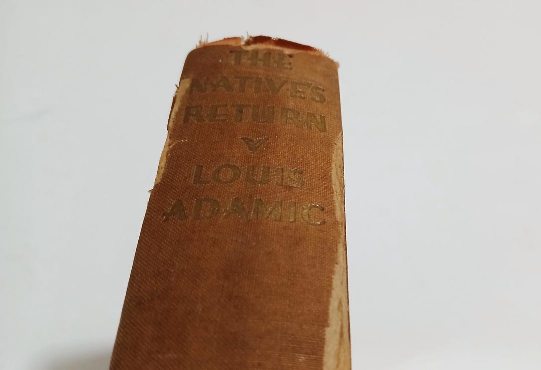 1930s the Native's Return by Louis Adamic Vintage Antique Retro ...