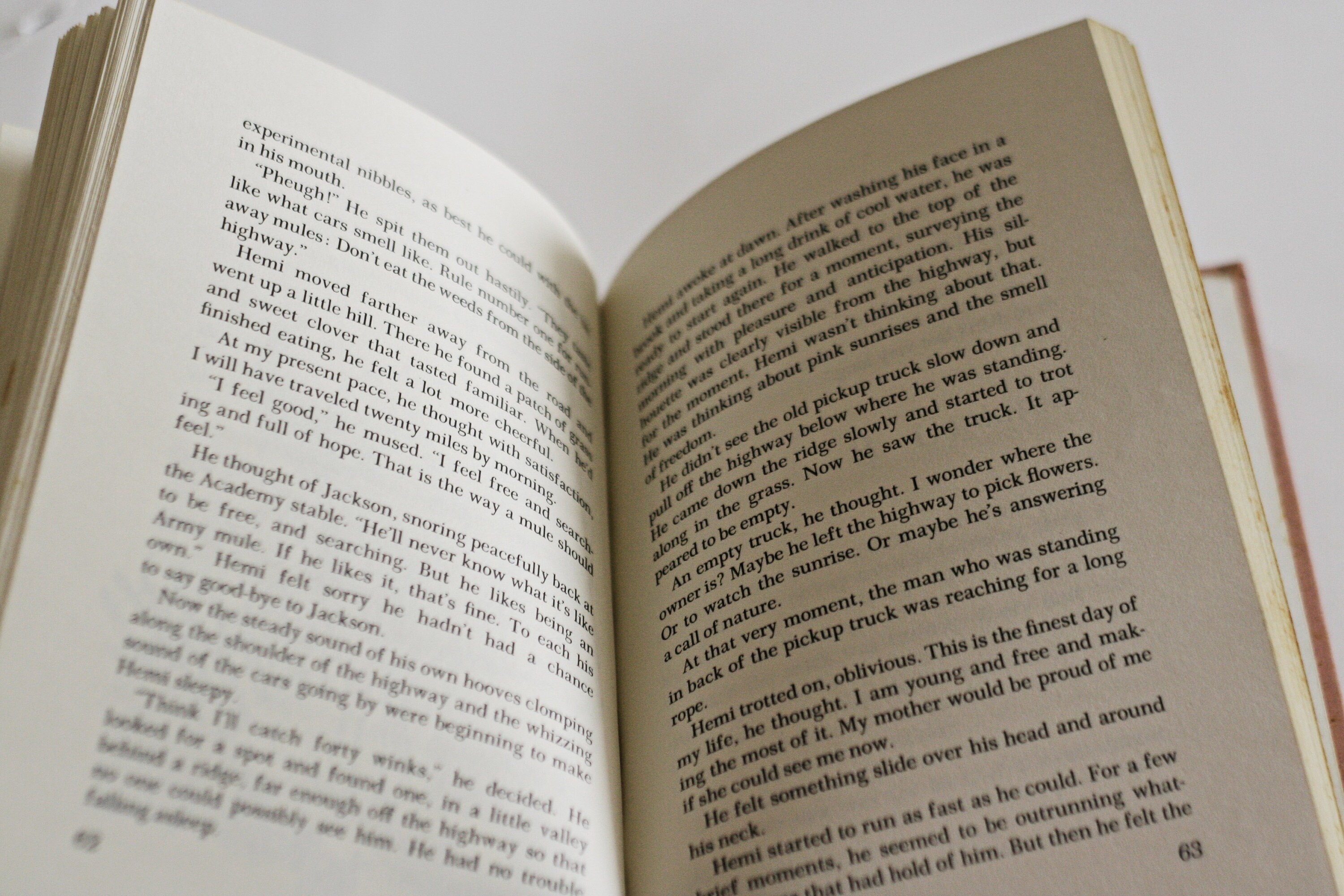 1970s Hemi A Mule by Barbara Brenner Vintage Retro Old Childrens ...