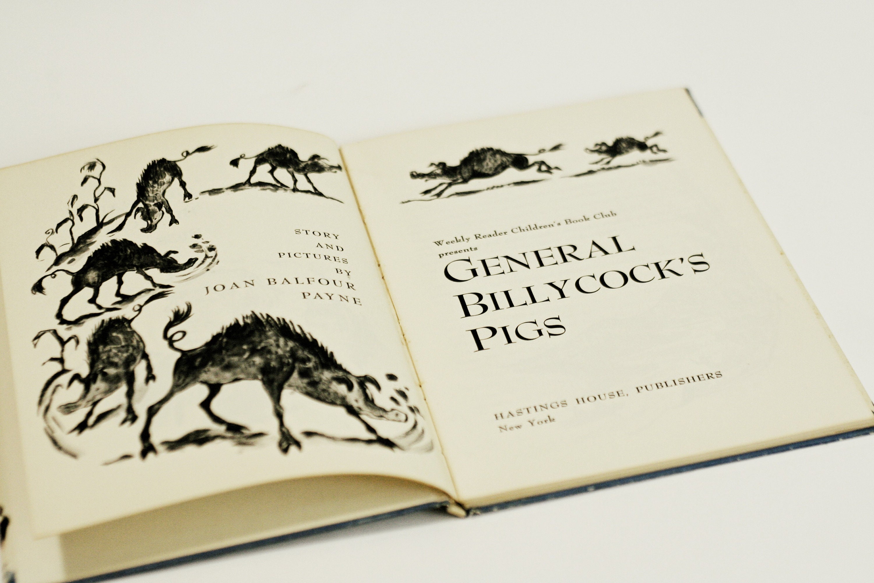 1961 General Billycock's Pigs by Joan Balfour Payne Vintage Retro ...