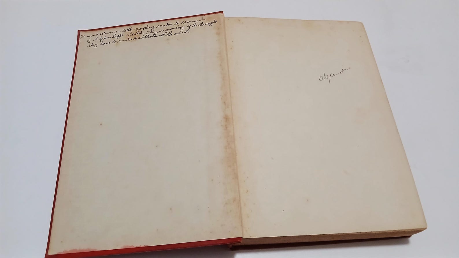 1890s Character Sketches Illustrated by George A Lofton Christian ...