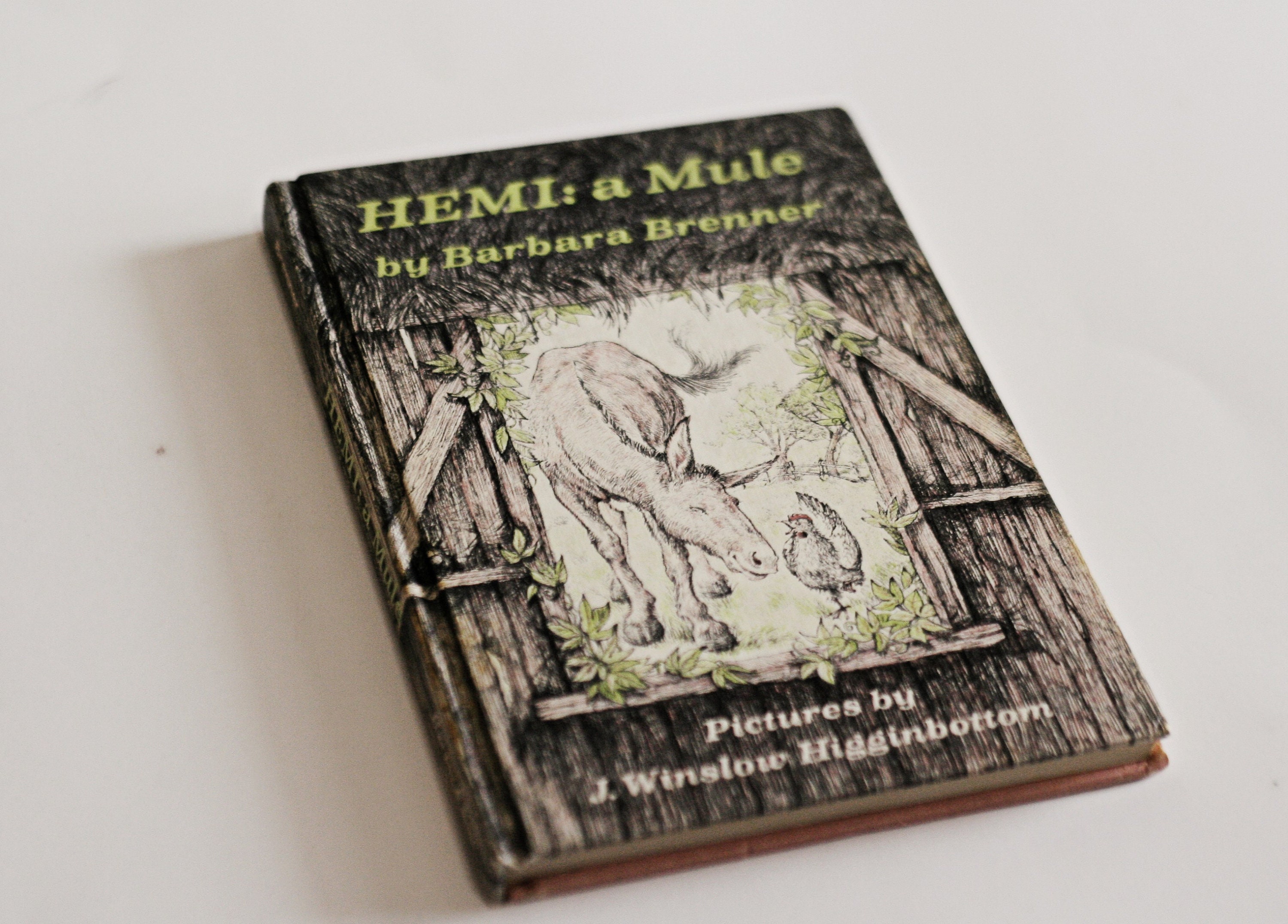 1970s Hemi A Mule by Barbara Brenner Vintage Retro Old Childrens ...
