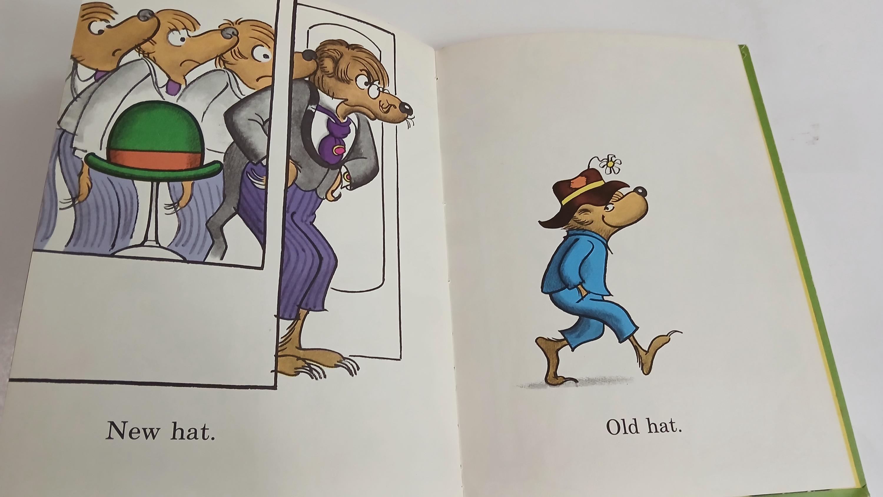 1970s Old Hat New Hat Berenstain Bears Book Vintage Retro Children's ...