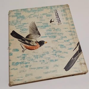 1950s the First Book of Birds by Margaret Williamson Hardcover Vintage ...