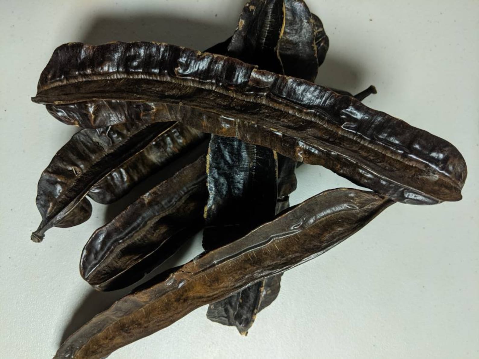 PREKESE | Aidan Fruit| Tetrapleura Tetraptera | Effu | Ghanaian Prekese ...