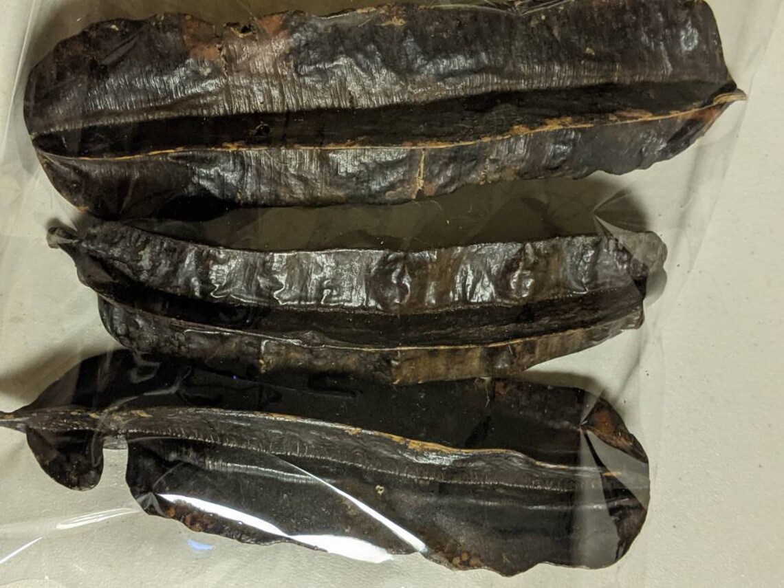 PREKESE | Aidan Fruit| Tetrapleura Tetraptera | Effu | Ghanaian Prekese ...