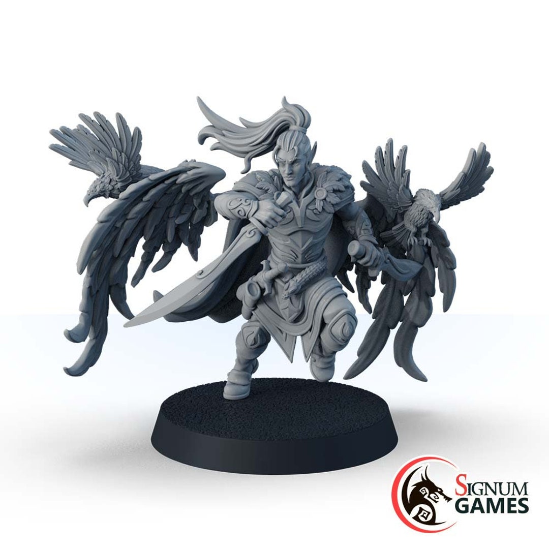 Cael Ravenwing, the Pathfinder Fantasy Miniatures, Elf Assassin ...