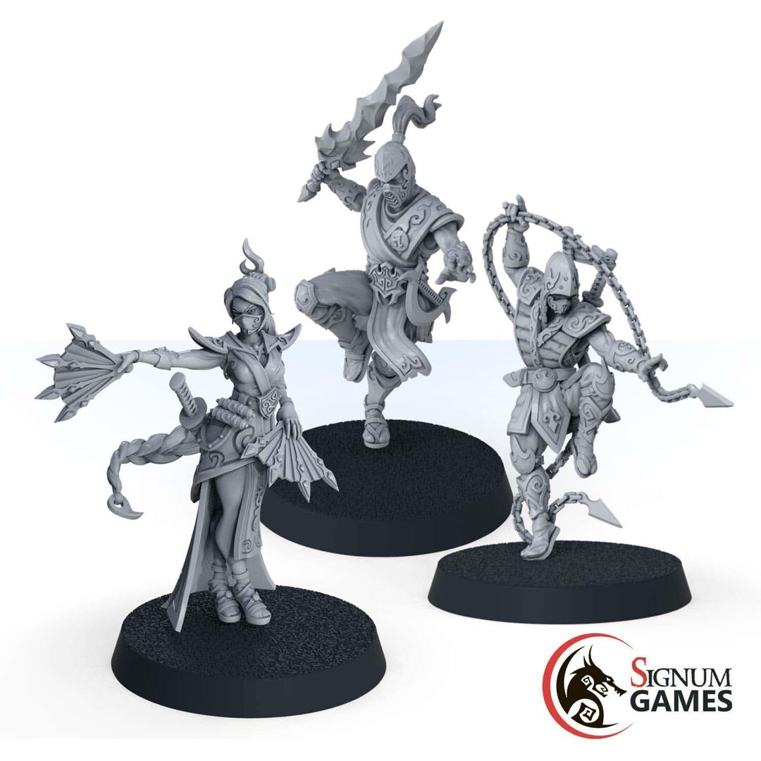 Ninja Warriors 3d Printed Set, Unpainted Human Character, DND Fantasy ...