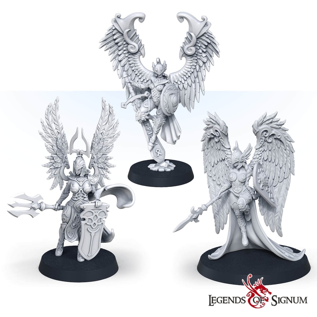 Valkyrie Set 32mm 28mm Scale Collectiblerpg,tabletop D&D Unpainted ...