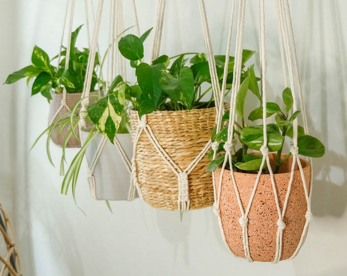 Macrame Plant Hanger Indoor, Hanging Planter Pot, Rope Hanging Plant ...