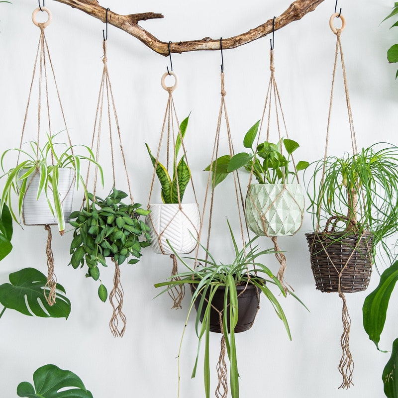 Indoor Wall Plant Hangers - Etsy