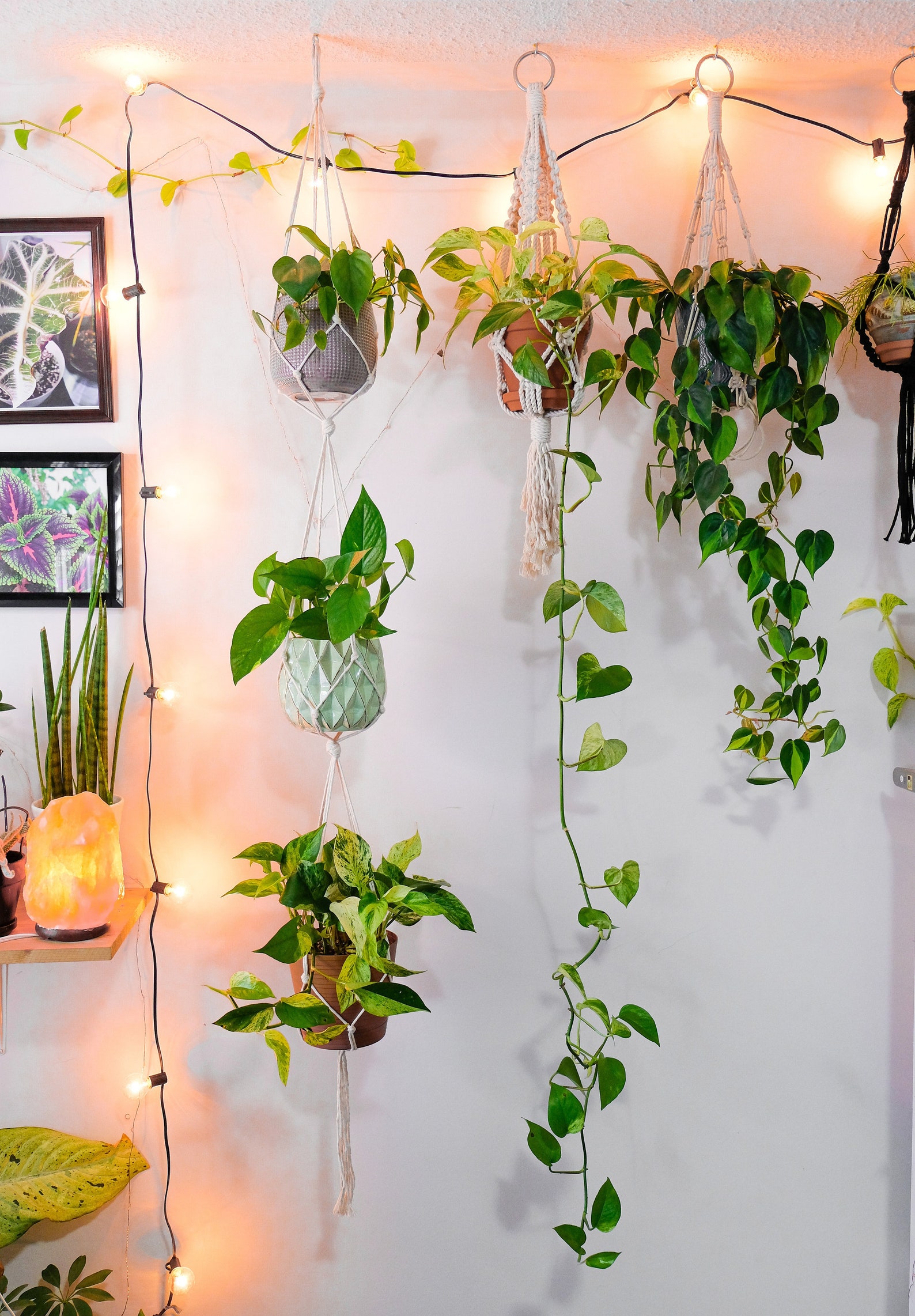 3 Tier Macrame Plant Hanger, Tier Planter, 3 Tier Plant Hanger, 3 Tier ...