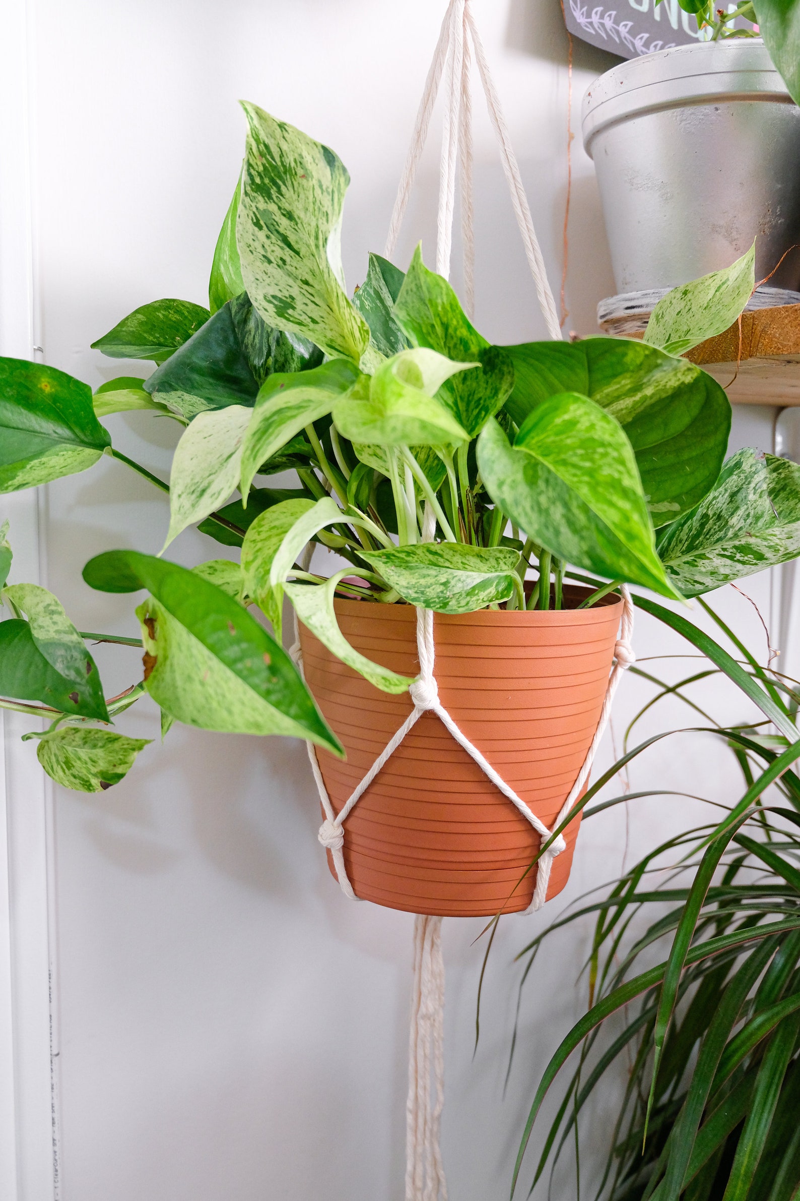 3 Tier Macrame Plant Hanger, Tier Planter, 3 Tier Plant Hanger, 3 Tier ...