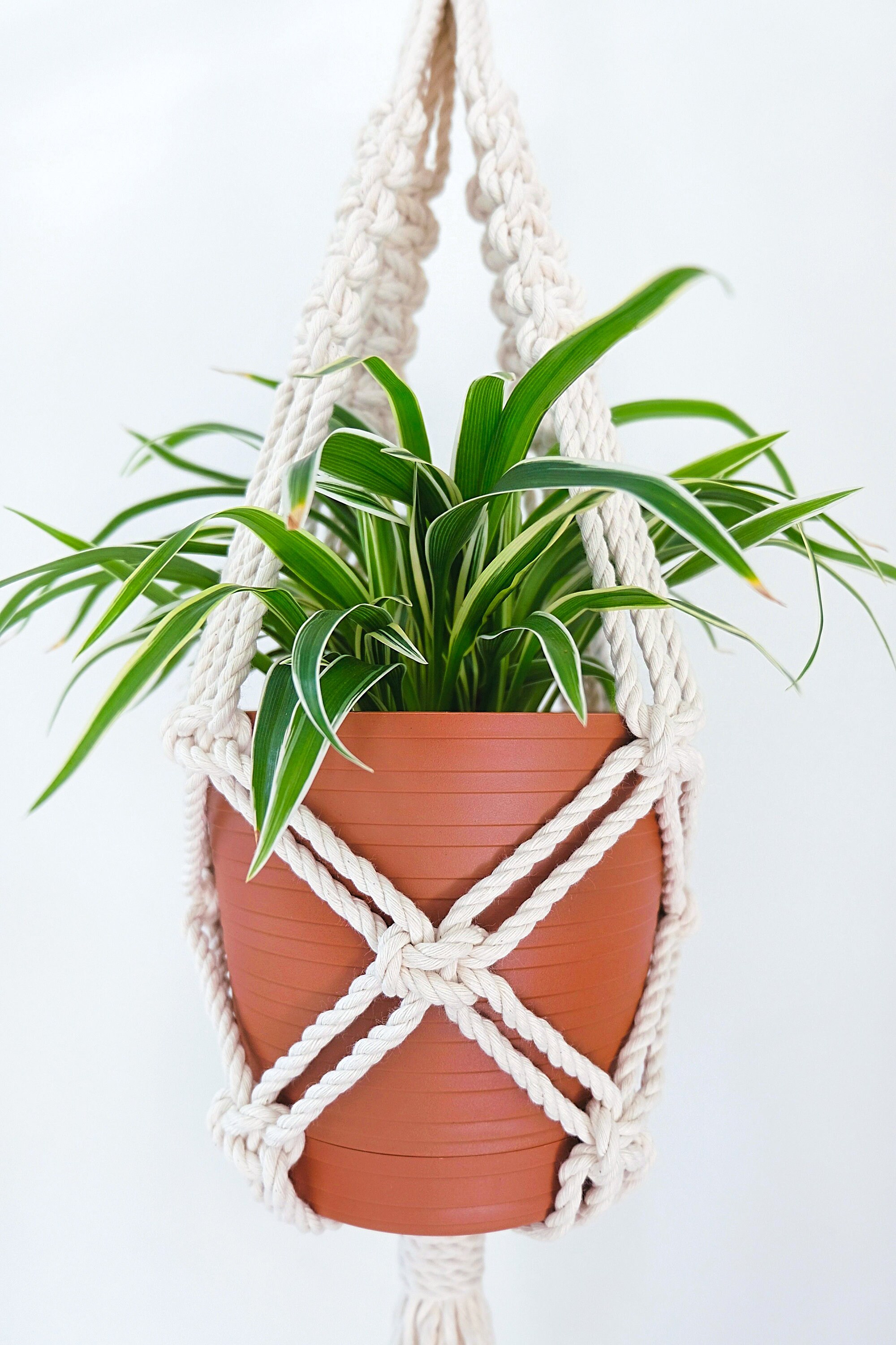 MACRAME PLANT HANGER, Hanging Planter,indoor Plant Holder, Modern ...