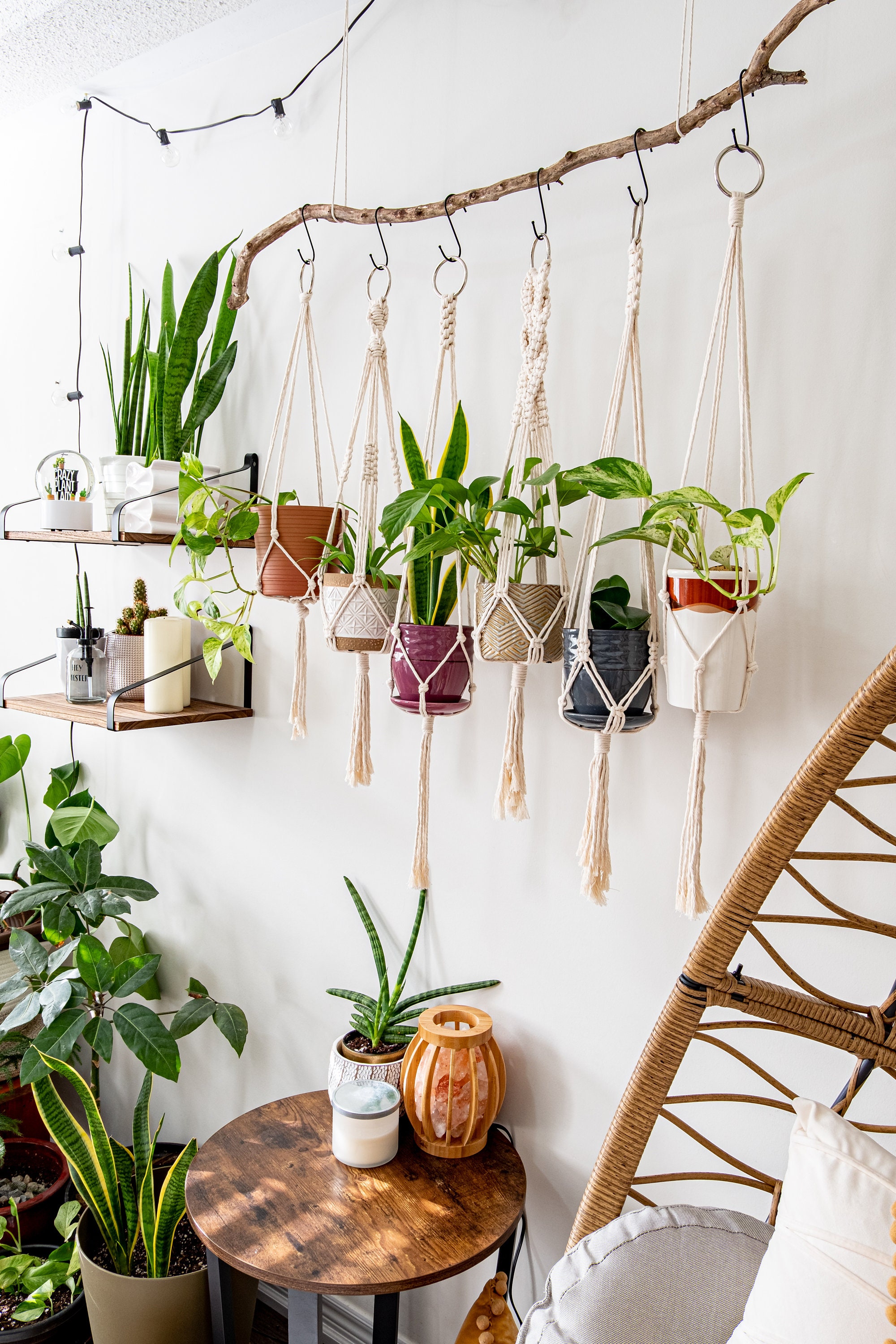Hanging plant ideas store