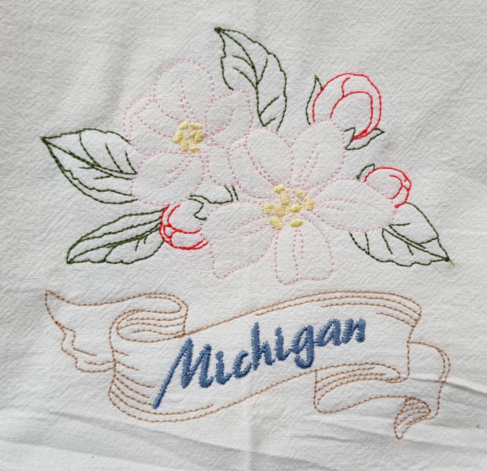Michigan State Bird Robin OR State Flower Apple Blossom | Etsy