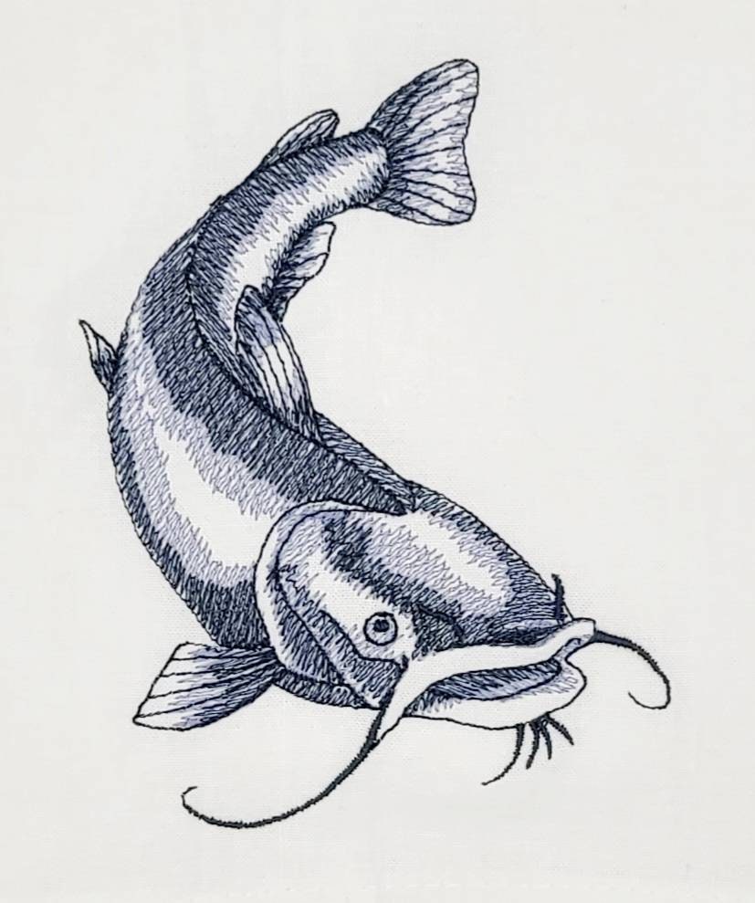 Flathead Catfish Drawing