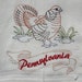 Pennsylvania State Bird Ruffed Grouse OR State Flower Mountain - Etsy