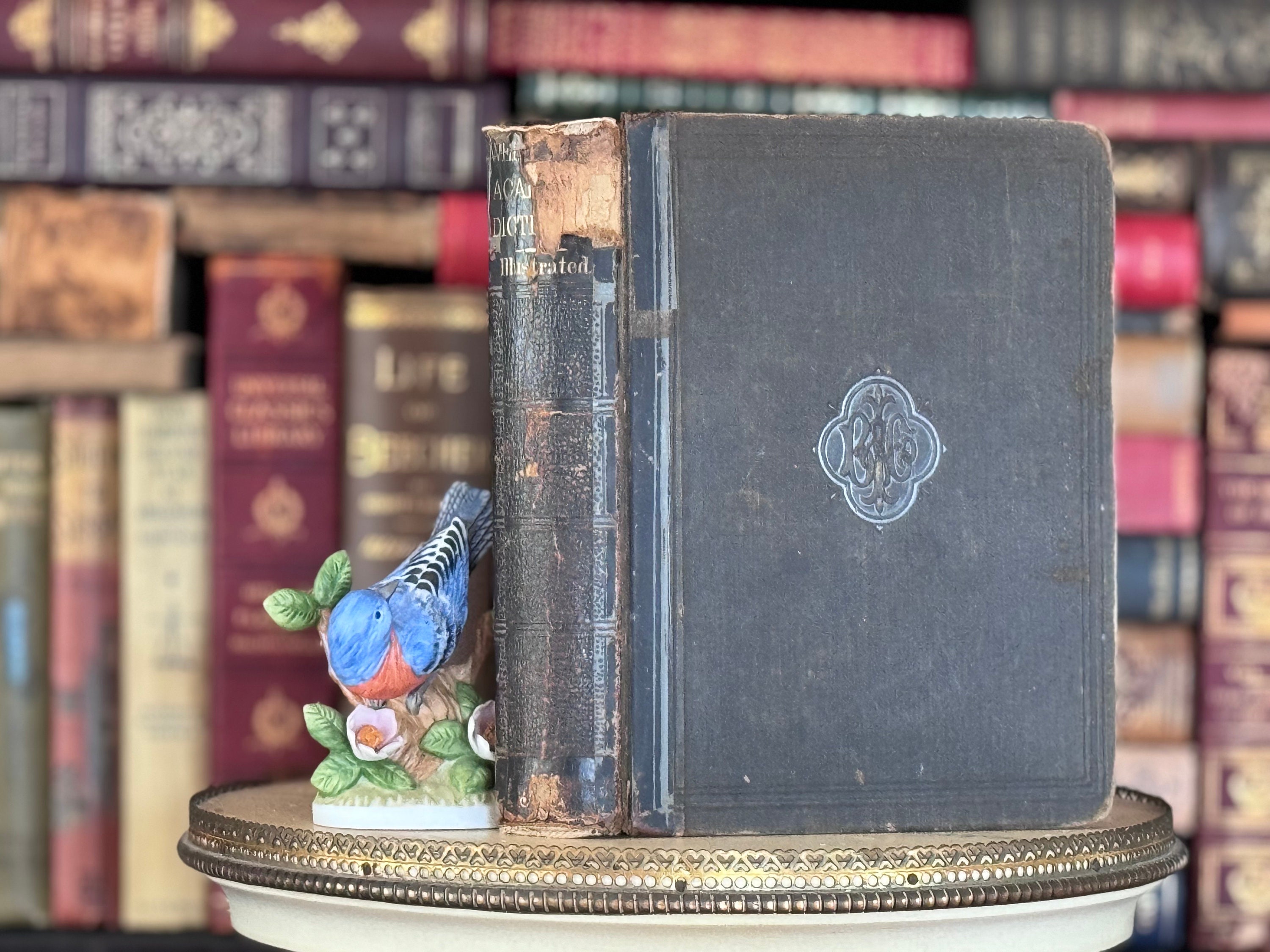 Antique Websters Dictionary Common School Dictionary of the English ...