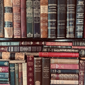 Book Bundle Random Designer Decorative Vintage Books Reading Book ...