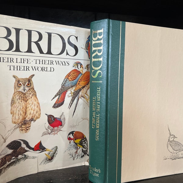 Vintage Bird Book - Etsy