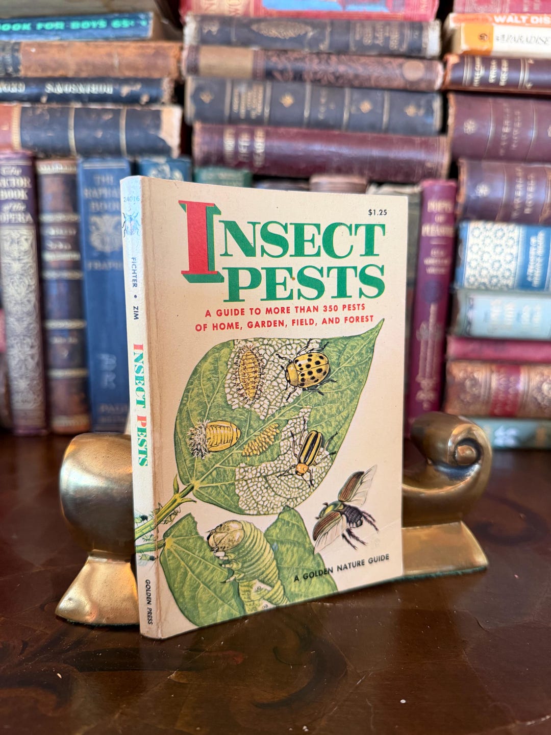 Vintage Insect Pests Book | Golden Nature Guide | Botanical & Garden ...