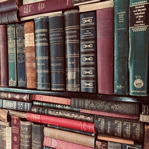 Book Bundle Random Designer Decorative Vintage Books Reading Book ...