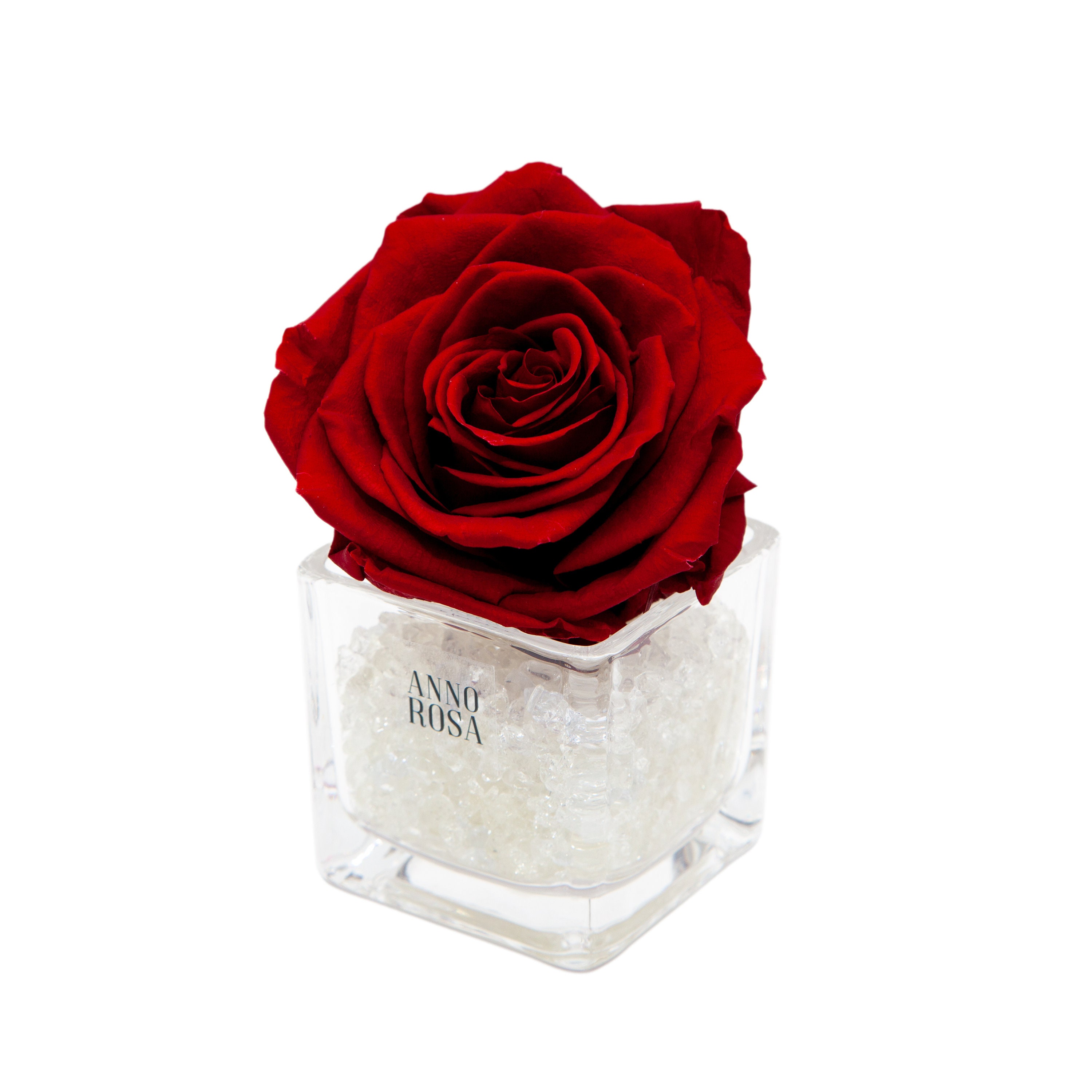 Home & Living Home Décor Burgundy infinity roses box of 9 roses that ...