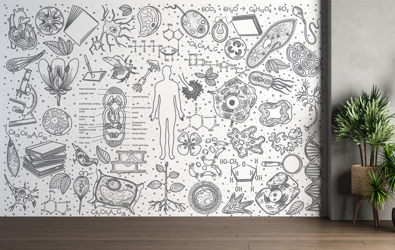 Biology Wallpaper Mural: Peel and Stick Science Wall Graphics PW561 - Etsy