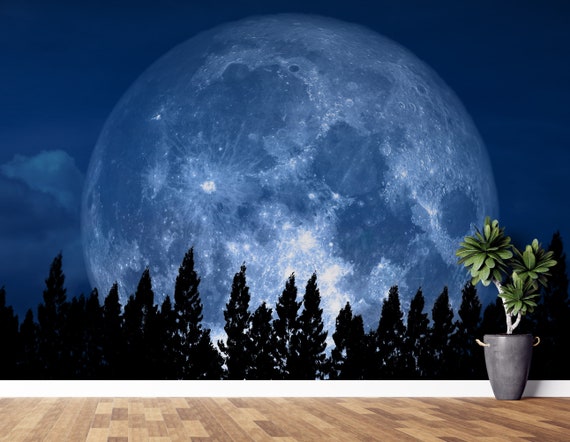 3d Moon Wallpaper
