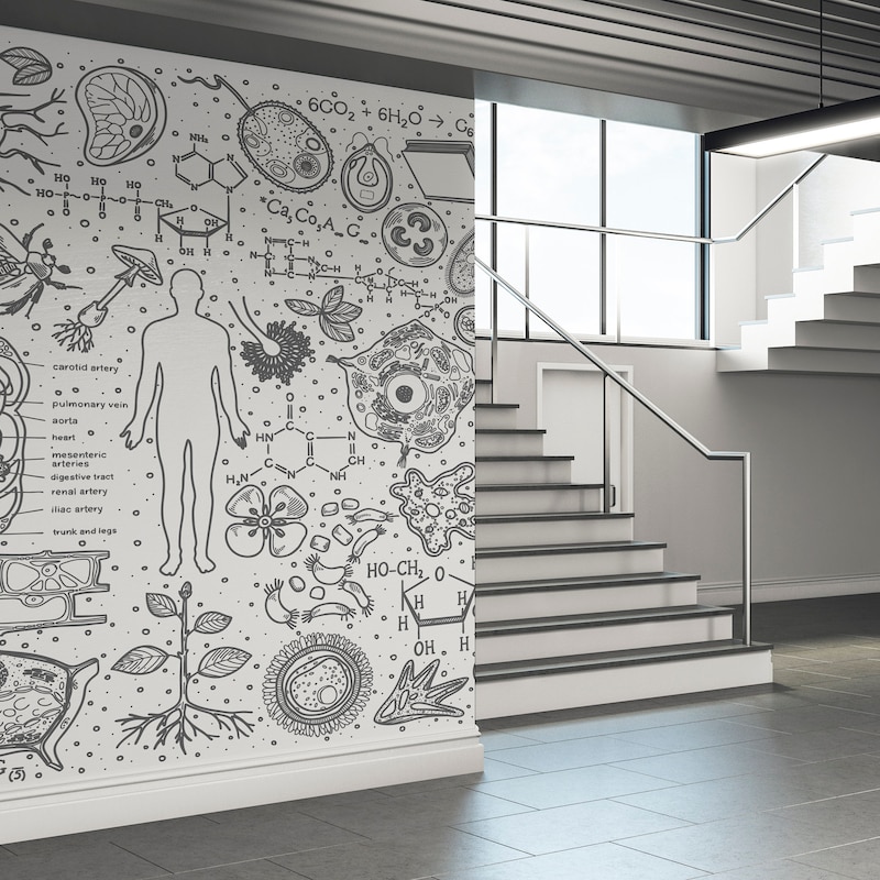 Biology Wallpaper - Etsy