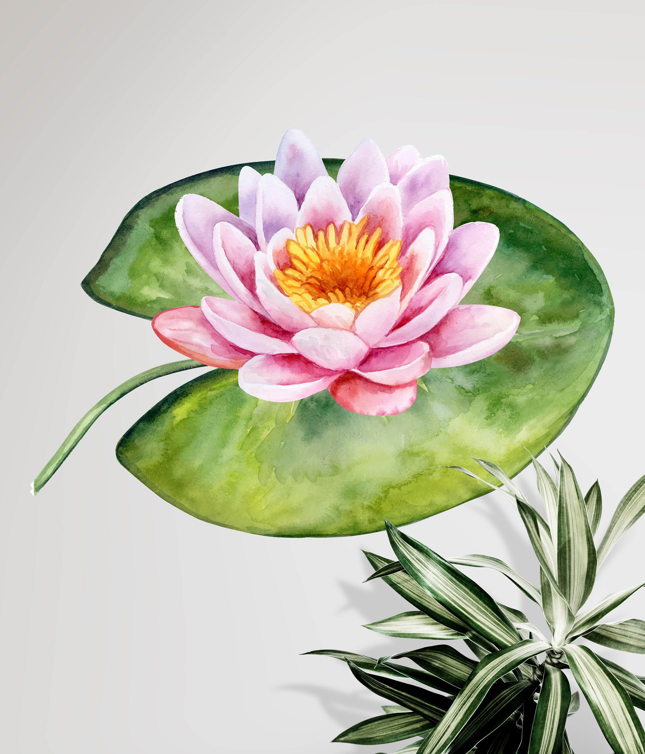 Lotus Wall Decal Lotus Flower Wall Decal Lotus Mandala | Etsy