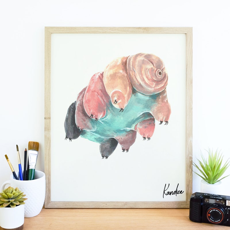 Water Bears - Etsy